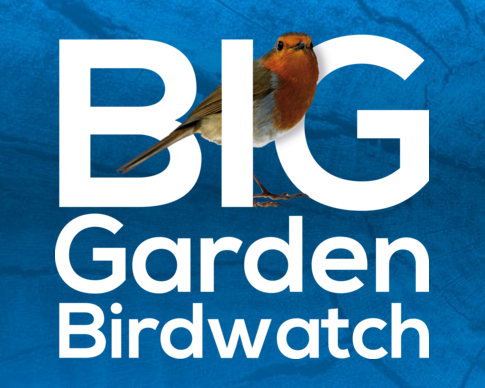 RSPB Big Garden Bird Watch - The Coddenham Parish Community Website